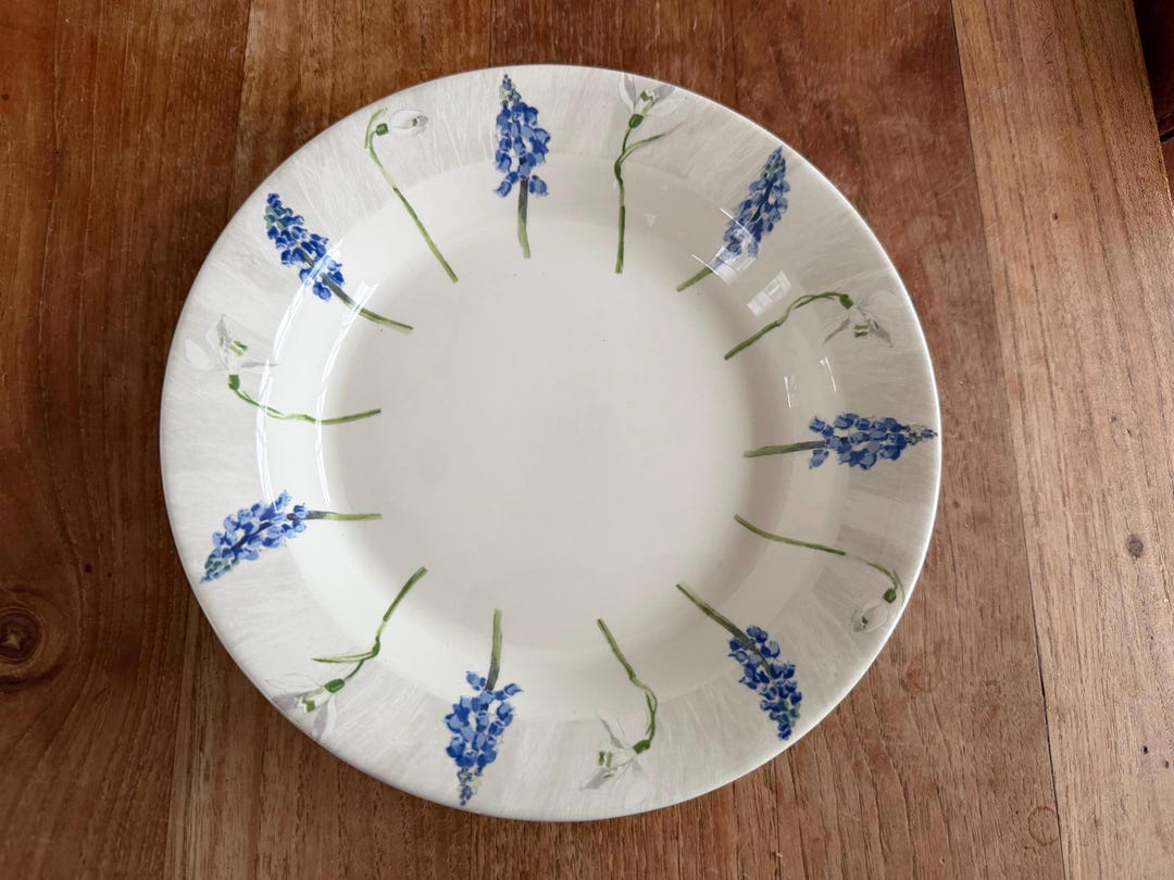 A Gorgeous Gien France "alice " Diep Soup/pasta Plate-large Rim Soup ...