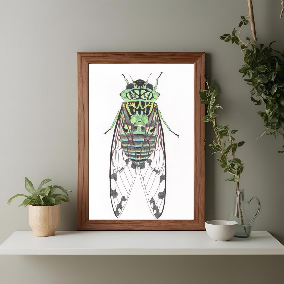 Cicada Wall Art Print | Realistic Insect Illustration | Nature Inspired ...