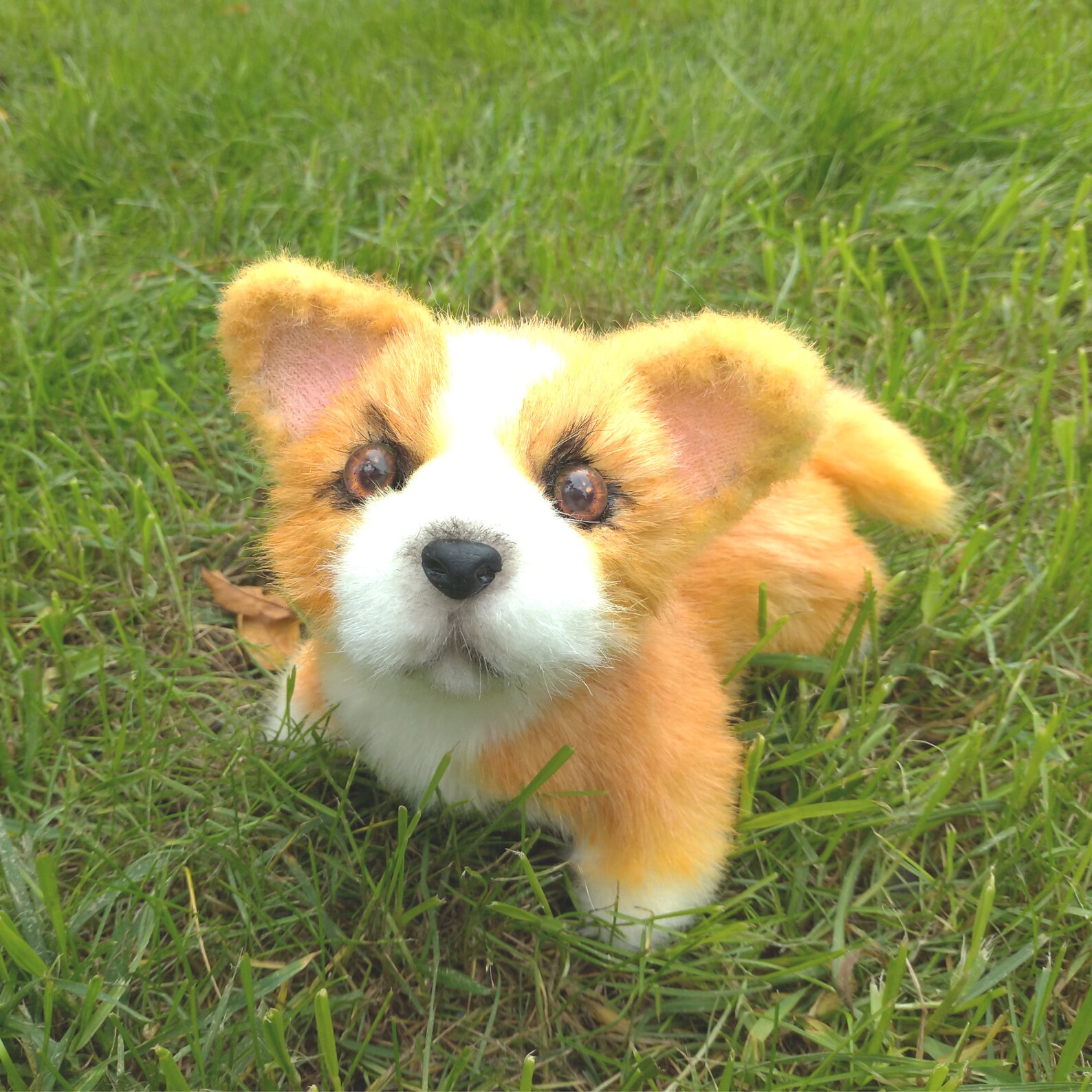 Stuffed corgi.Realistic stuffed animals.Realistic plush.Art | Etsy