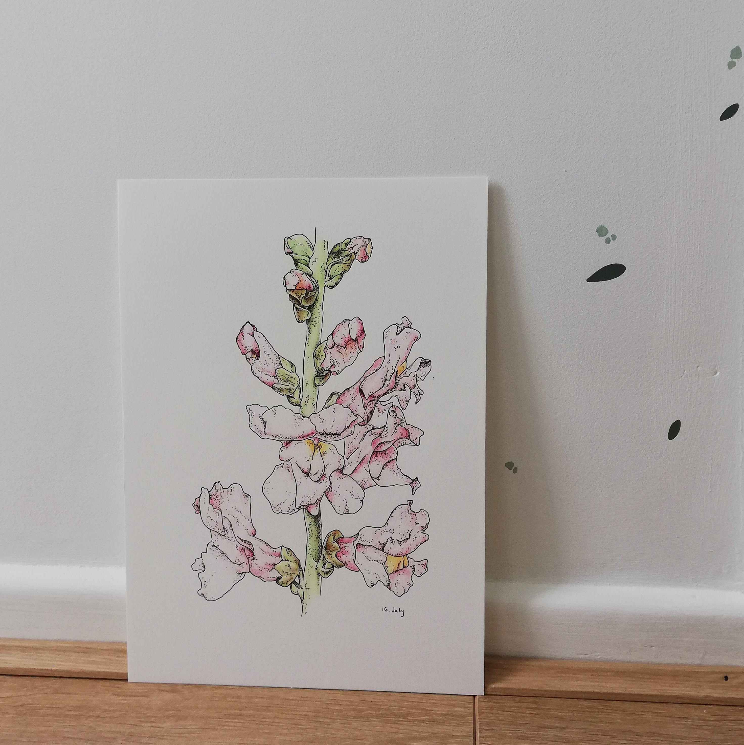 Snapdragon Flower Drawing Design