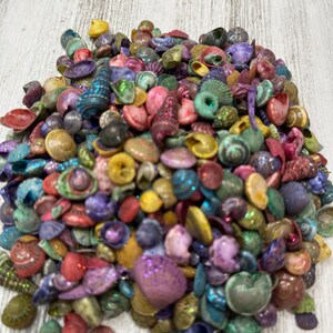 Small Glitter Dyed Shell Mix-beach Decor-wedding Decor-sailors ...