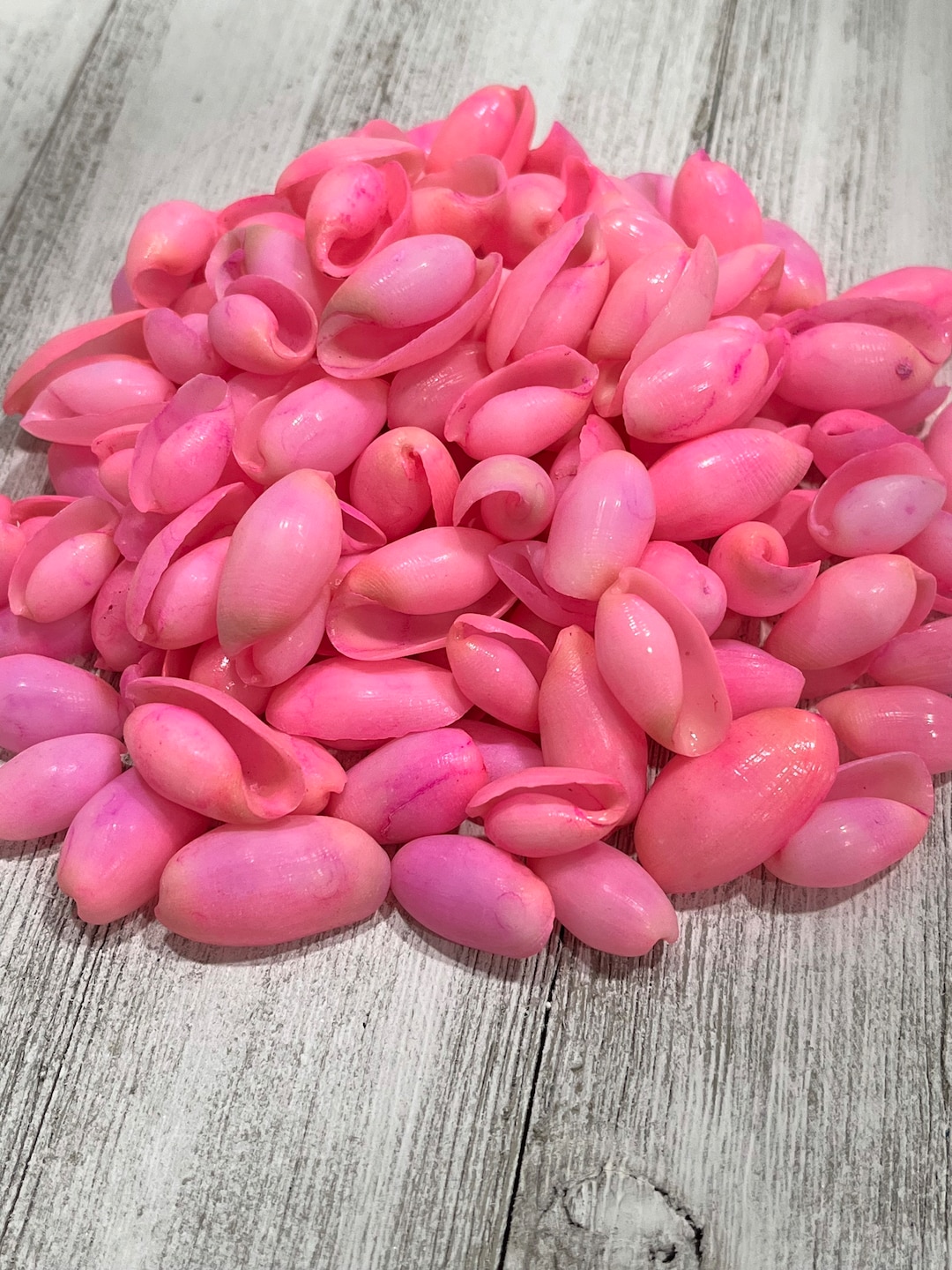 Pink Bubble Seashells-beach Decor-wedding Decor-sailors Valentine ...