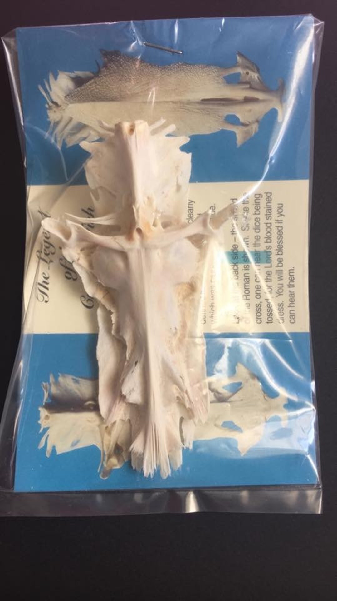 Crucifix Fish-sea Shell Bulk-craft Shell-coastal Home Decor-sailors ...