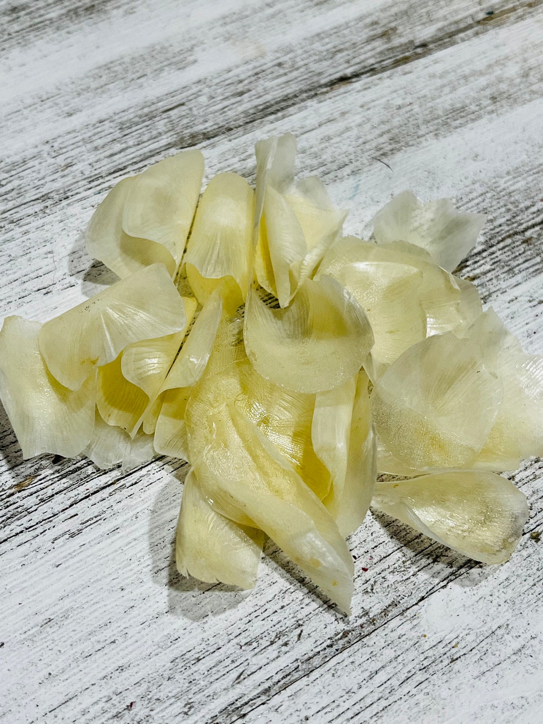 Small Fish Scales-beach Decor-wedding Decor-sailors Valentine-crafting ...