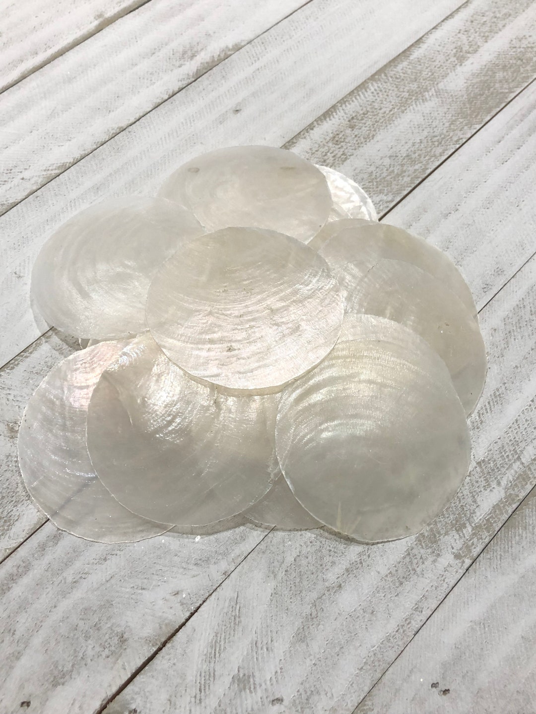 2.5” Capiz Shell-cut Sea Shells- Christmas Ornament- Gift-christmas ...