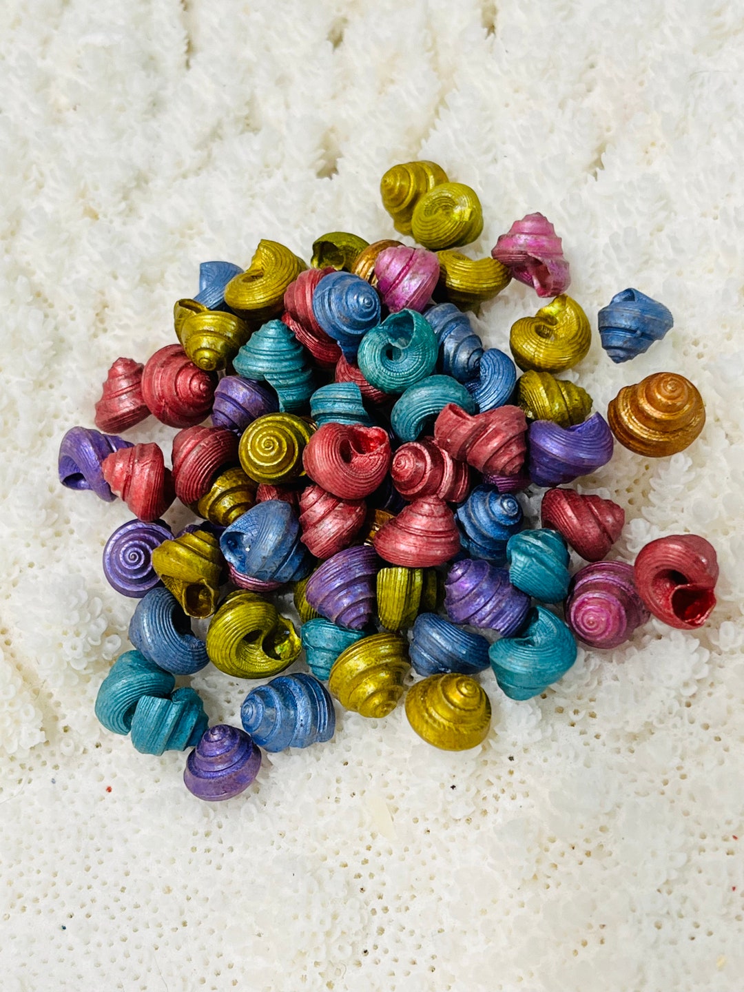Dyed Venetian Snails-sea Shell Bulk-craft Shell-coastal Home Decor ...