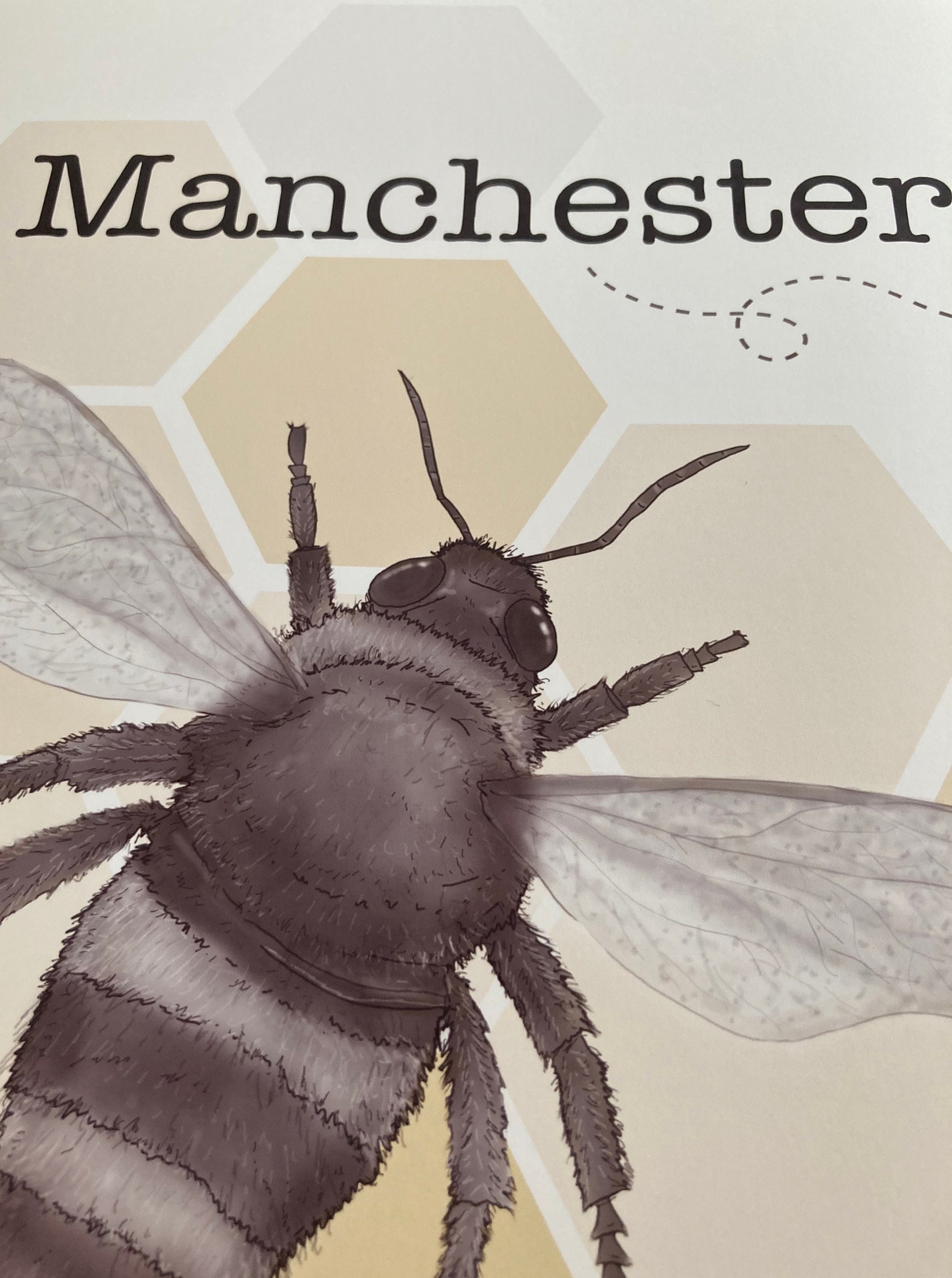 Manchester Bee Print Hand Drawn Digital Illustration with - Etsy 日本