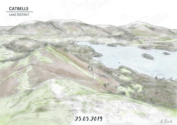 Catbells Print Lake District Hand Drawn Digital | Etsy