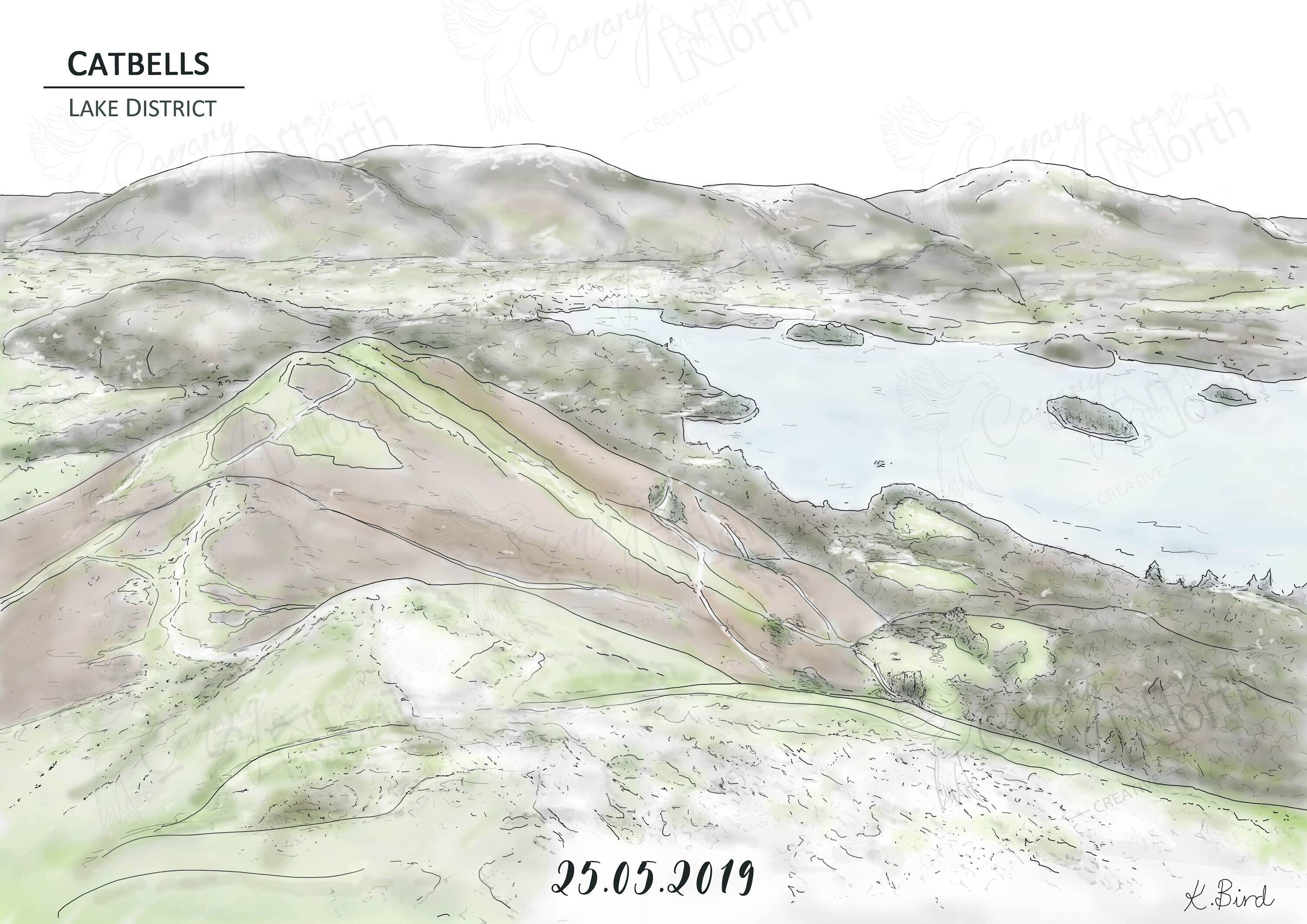 Catbells Print Lake District Hand Drawn Digital Illustration With Free ...