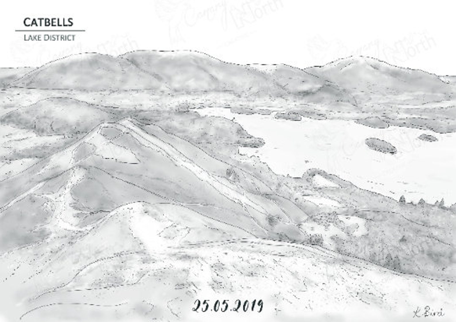 Catbells Print Lake District Hand Drawn Digital Illustration With Free ...