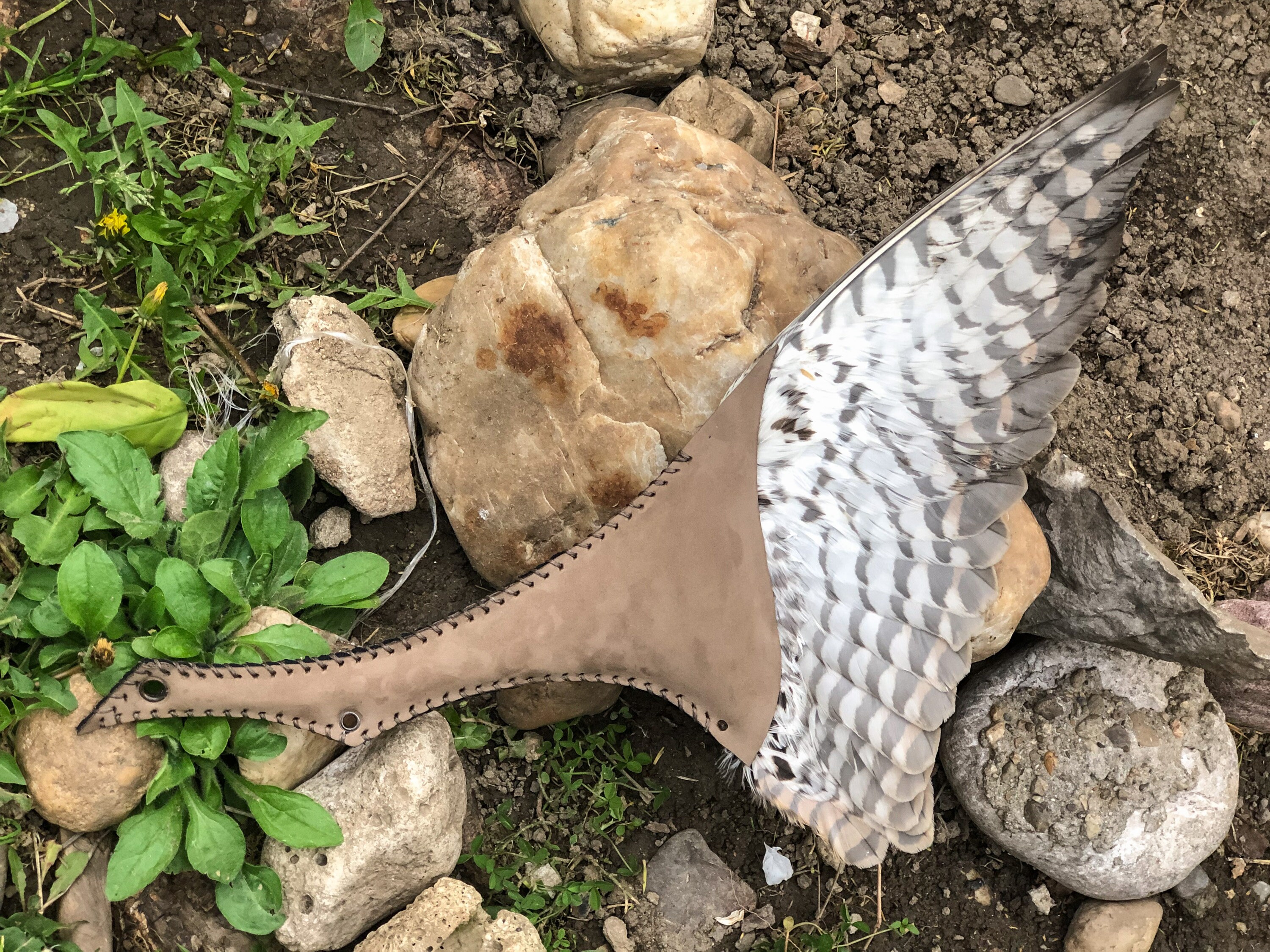 Kestrel Wing, Smudge Fan, Labradorite, Shamanic Tool, Ceremonial Tool ...