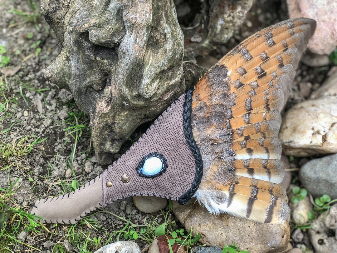 Barn Owl Wing Ethically Sourced Smudge Fan Shamanic Tool - Etsy