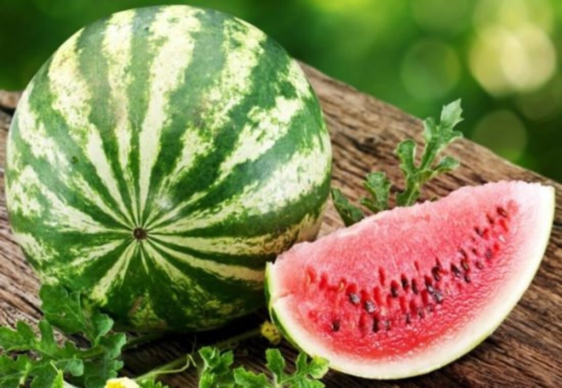 Watermelon siberian Giant Russian High Quality | Etsy