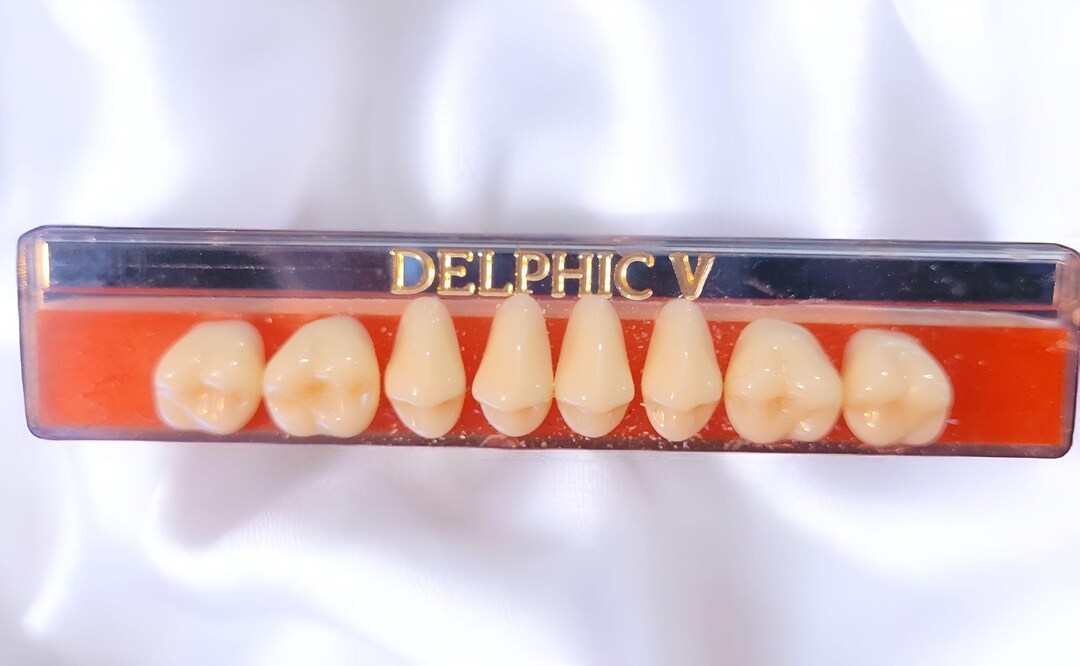 Vintage Artificial Teeth Shade A3.5 Dental Synthetic Acrylic Resin ...