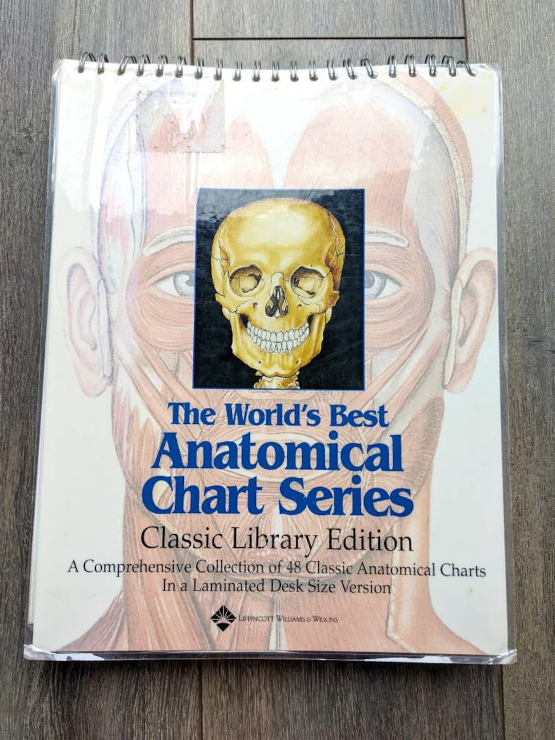 The World's Best Anatomical Chart Series Book A3 Laminated Anatomical ...