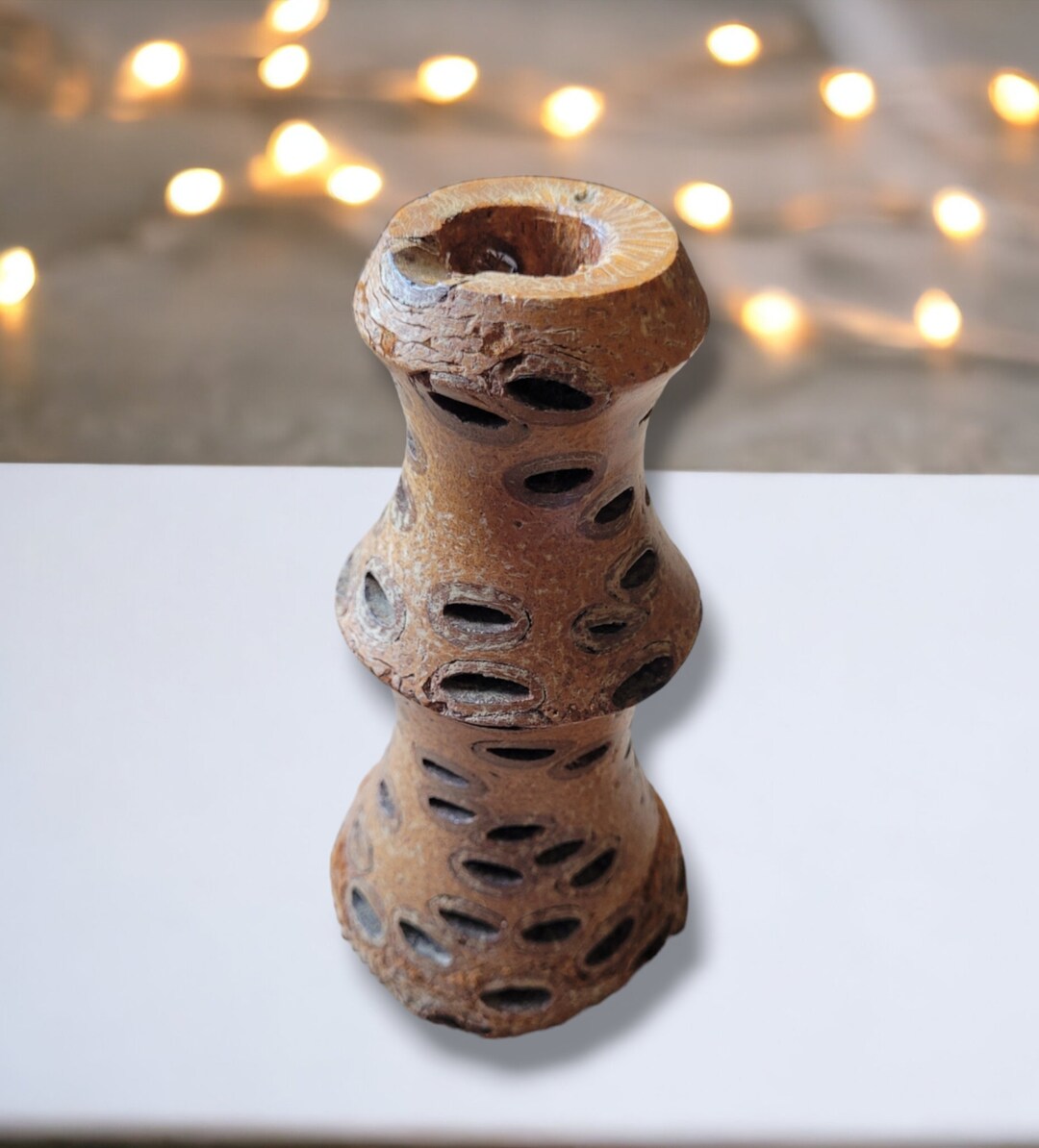 Australian Banksia Nut Pod Seed Bud Vase Hand Turned Organic Form Vase ...