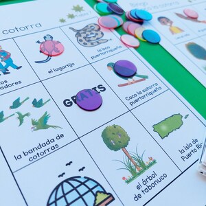 Puerto Rico's Rainforest Animals Bundle Grades K 2 - Etsy