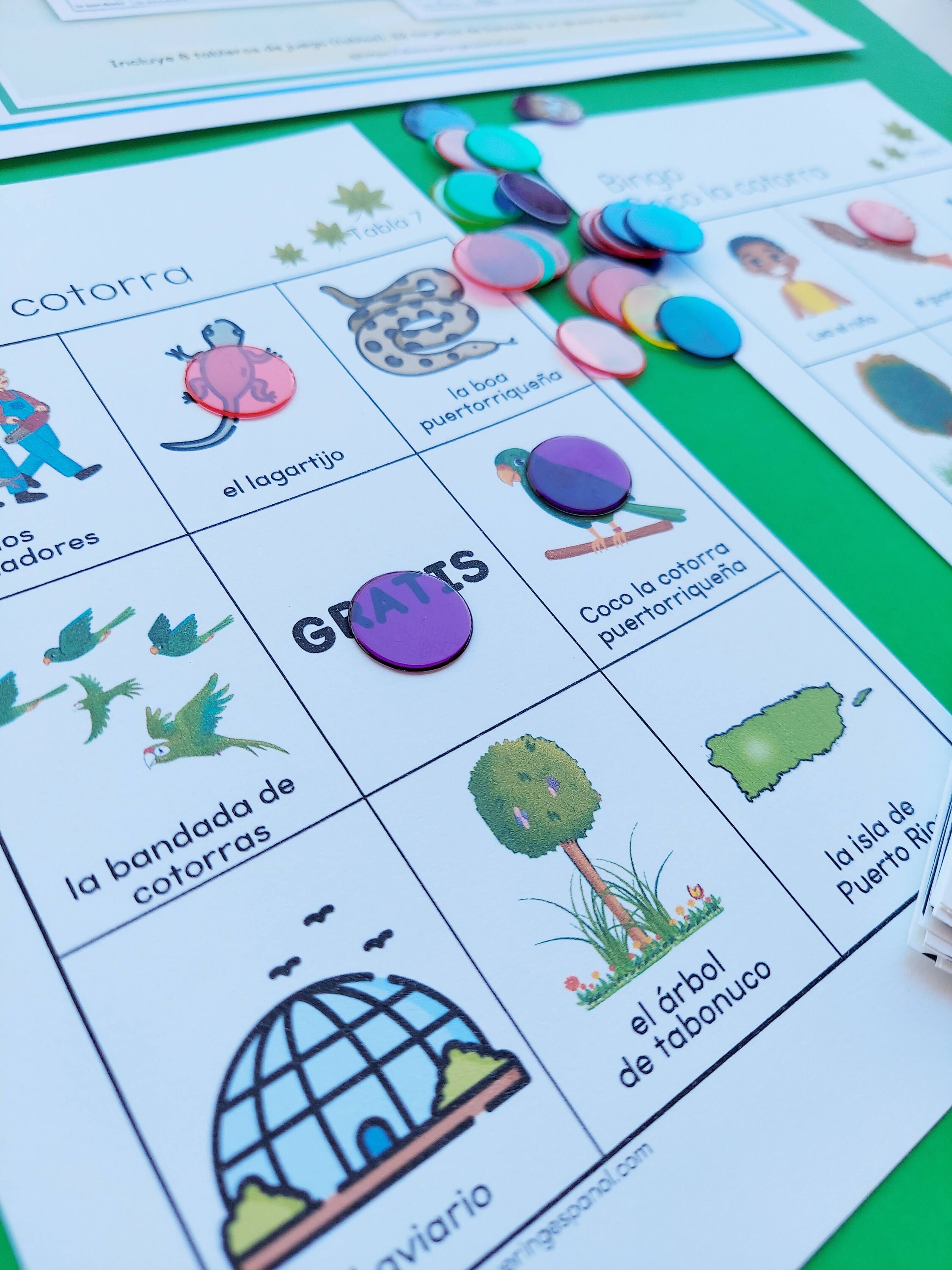 Puerto Rico's Rainforest Animals Bundle Grades K 2 - Etsy