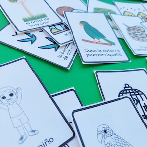 Puerto Rico's Rainforest Animals Bundle Grades K 2 - Etsy