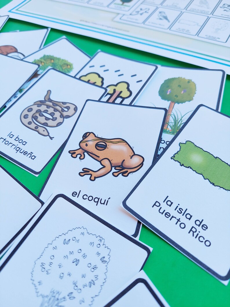 Puerto Rico's Rainforest Animals Bundle Grades K 2 - Etsy