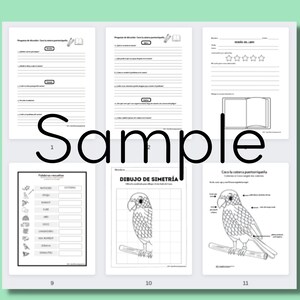 Puerto Rico's Rainforest Animals Bundle Grades K 2 - Etsy