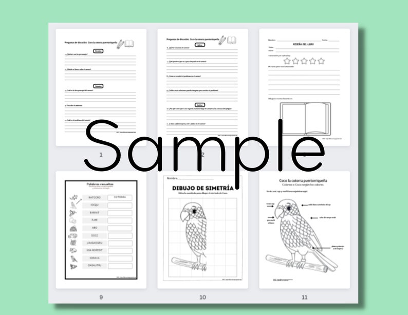 Puerto Rico's Rainforest Animals Bundle Grades K 2 - Etsy