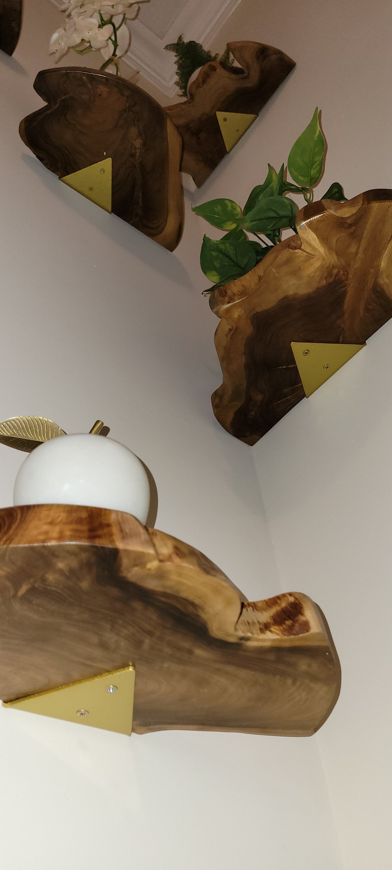Live Edge Floating Shelf - Etsy
