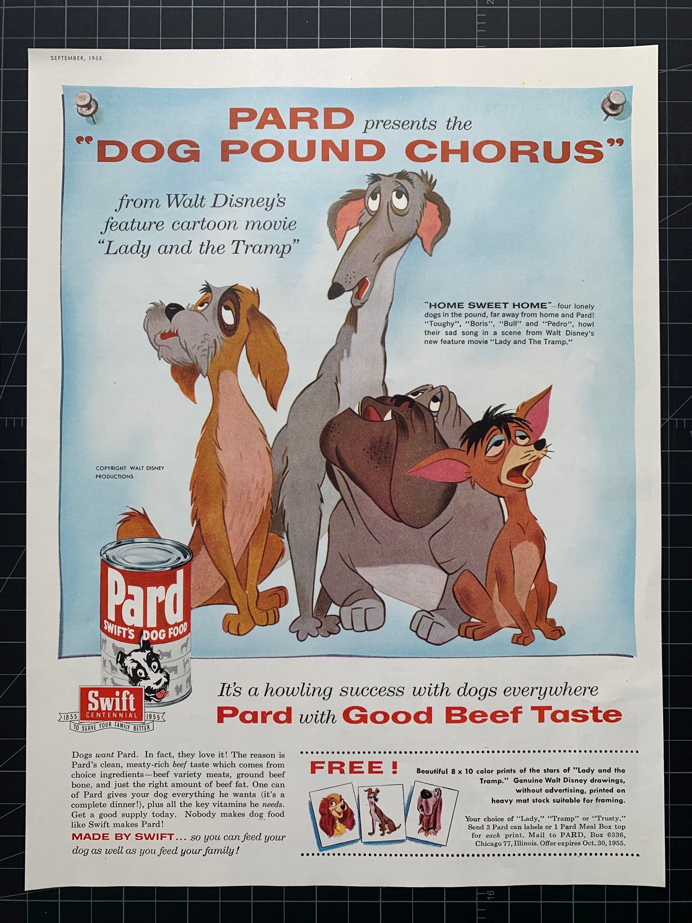 Dog Pound Movie Poster