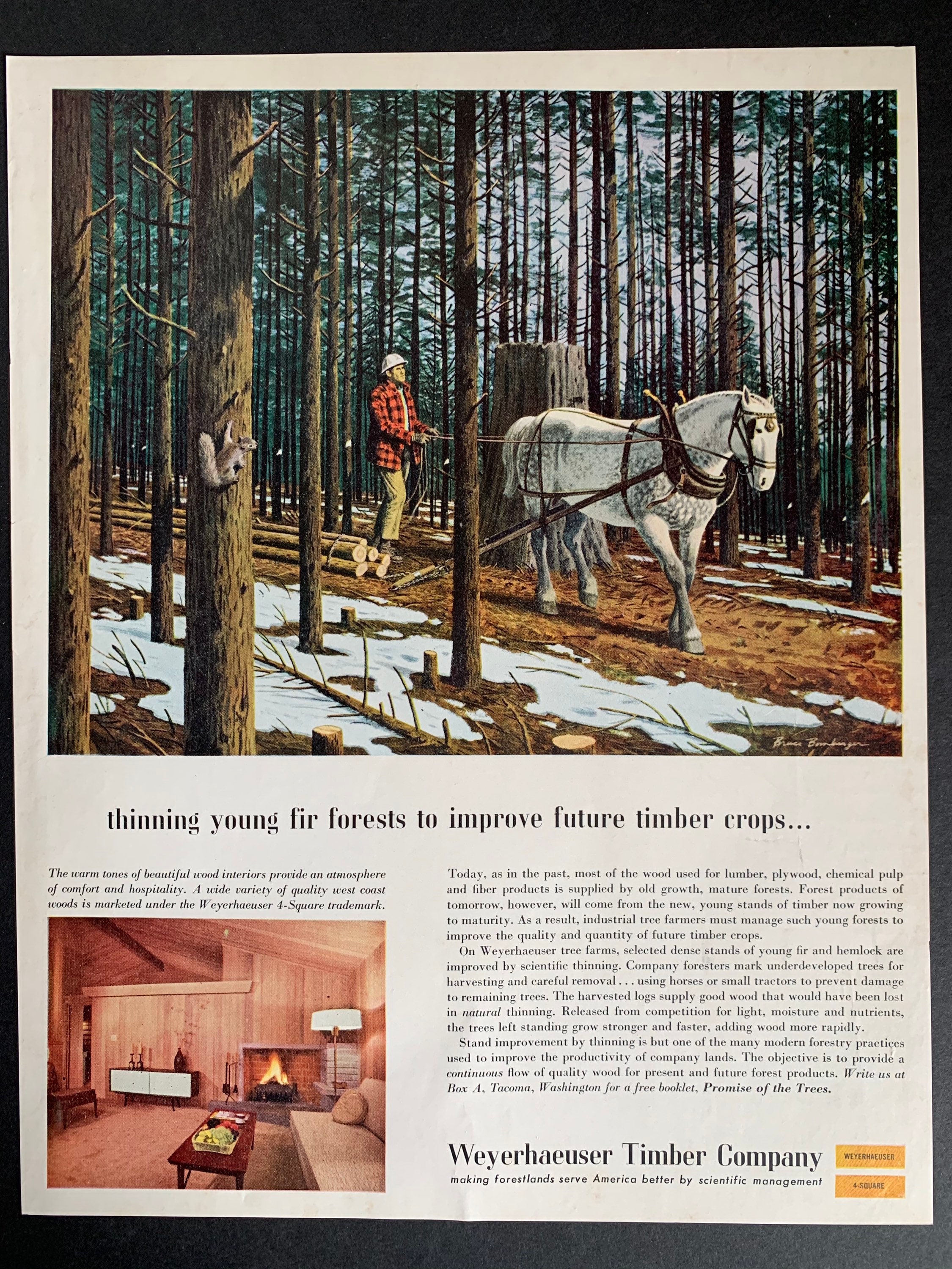 Weyerhaeuser Timber Company Land For Sale at Alonzo Caraway blog