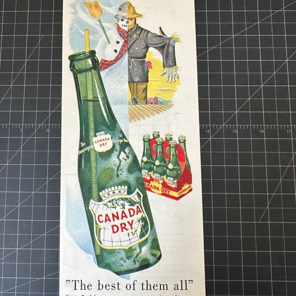 Canada Dry Signs - Etsy