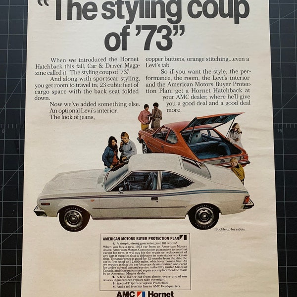 Amc Hornet 1973 - Etsy