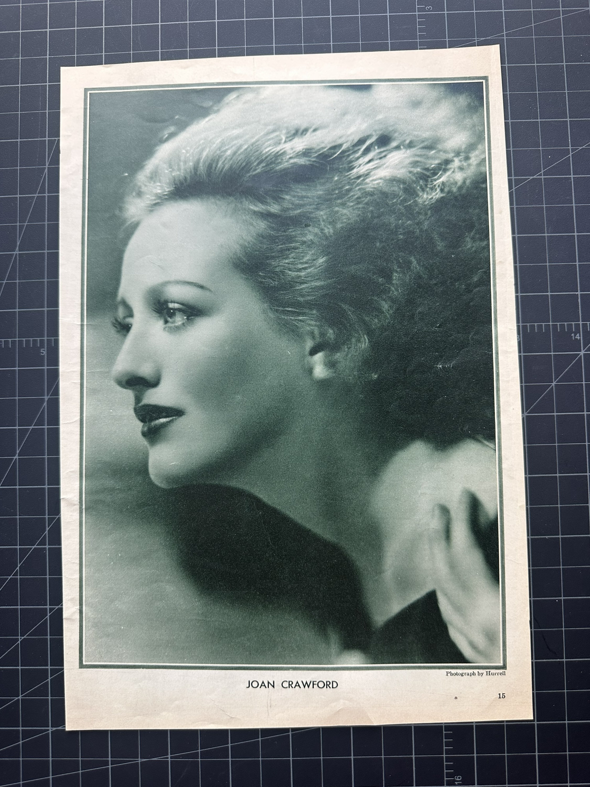 Joan Hawley's Instagram, Twitter & Facebook on IDCrawl