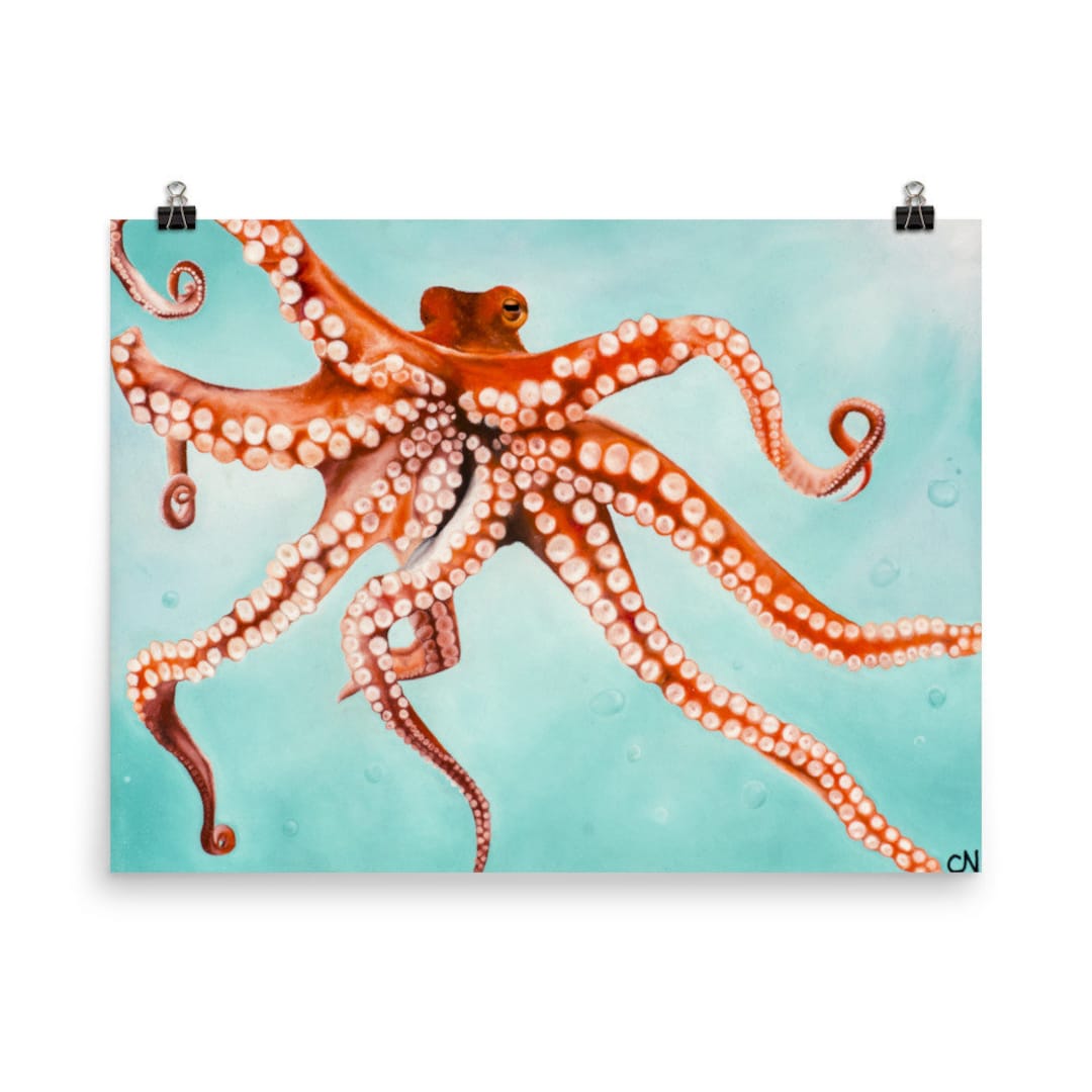 Octopus Art Print, Octopus Poster - Etsy