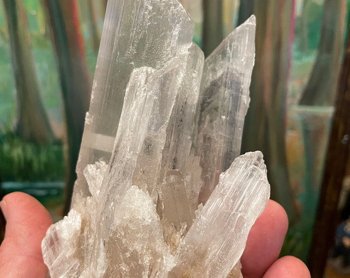 Amazing Natural Selenite Crystal Cluster - Etsy