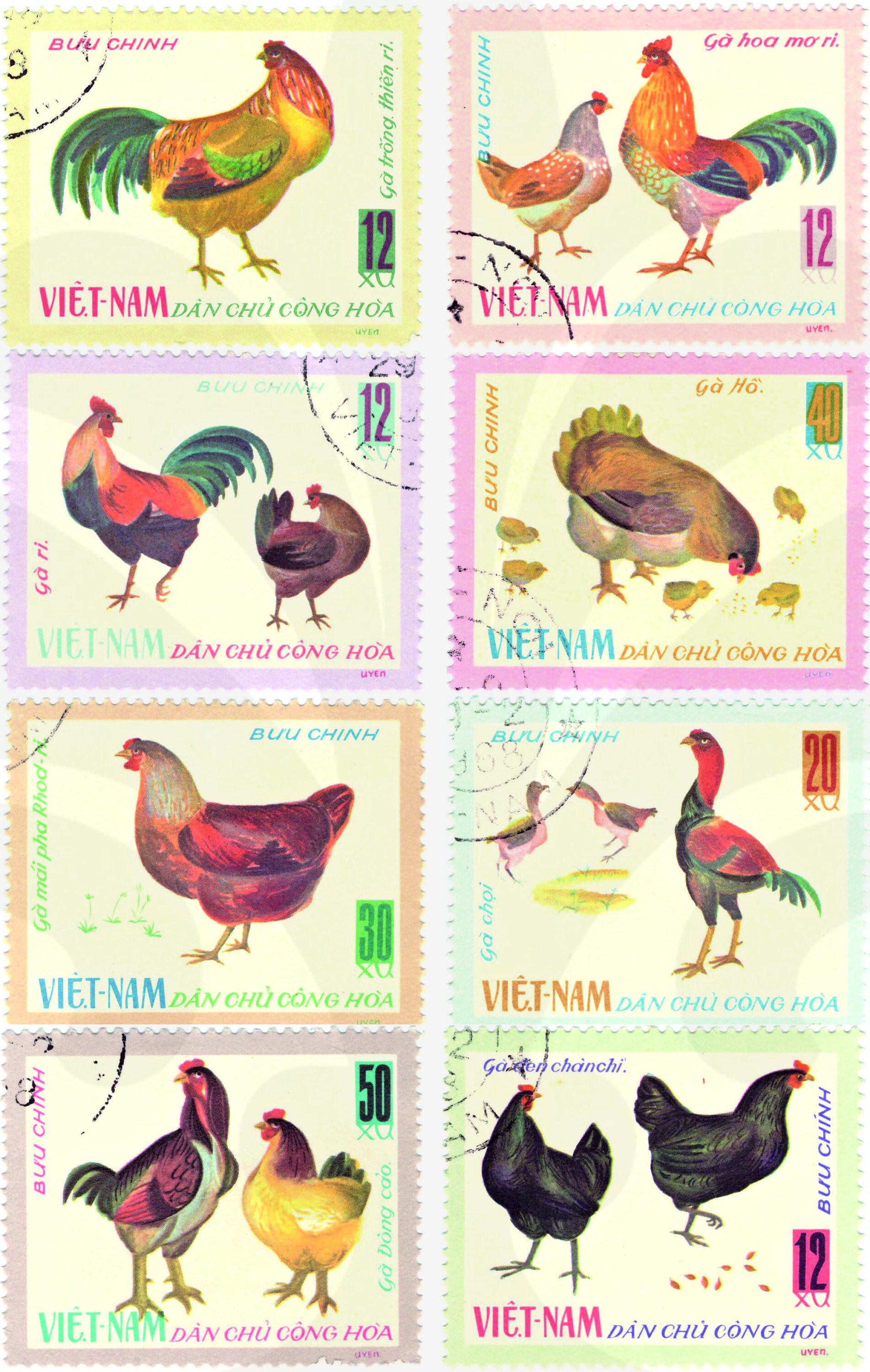 Rooster Postage Stamps 8 Vintage Chicken Hen Postal Stamps | Etsy