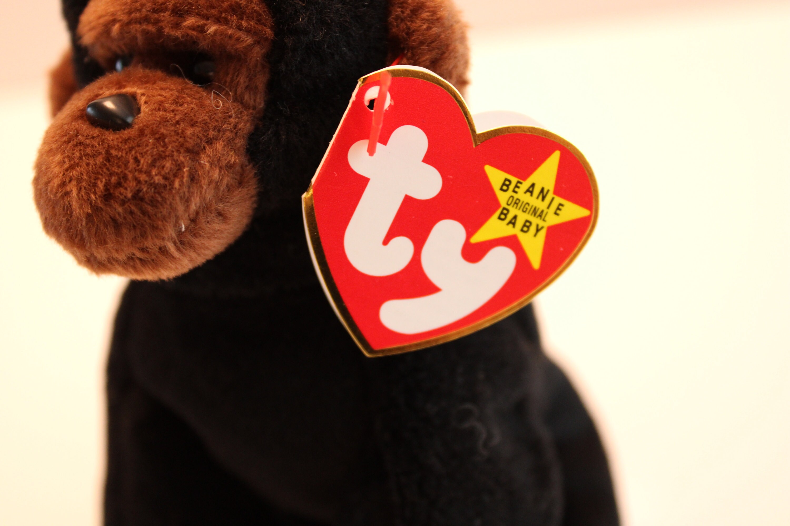 Congo and Bongo Rare Beanie Babies - Etsy