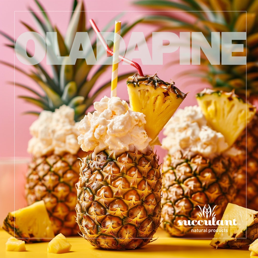 Calling All Pineapple Lovers Olada Pine Succulant's Handmade All ...