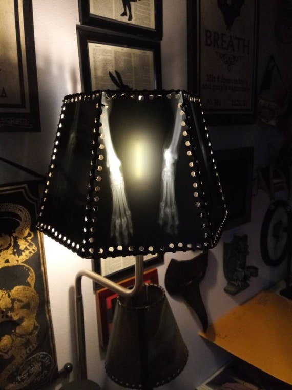 Dog Paws. Xray lamp shade. Veterinary art. Gothic art. Medical | Etsy