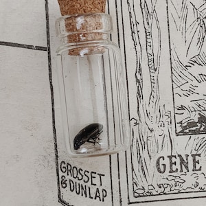 Tiny Specimens, Micro Specimen Vials, Small Specimen Collection, Animal ...