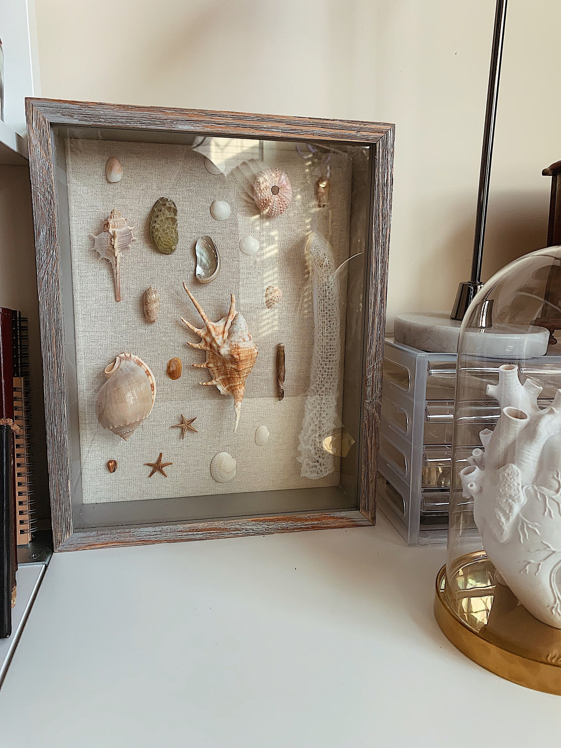 Seaside Wonder Nautical Shadow Box Seashell Display Sea - Etsy