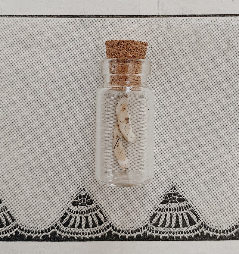 Tiny Specimens, Micro Specimen Vials, Small Specimen Collection, Animal ...