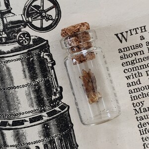 Tiny Specimens, Micro Specimen Vials, Small Specimen Collection, Animal ...