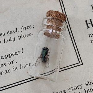 Tiny Specimens, Micro Specimen Vials, Small Specimen Collection, Animal ...