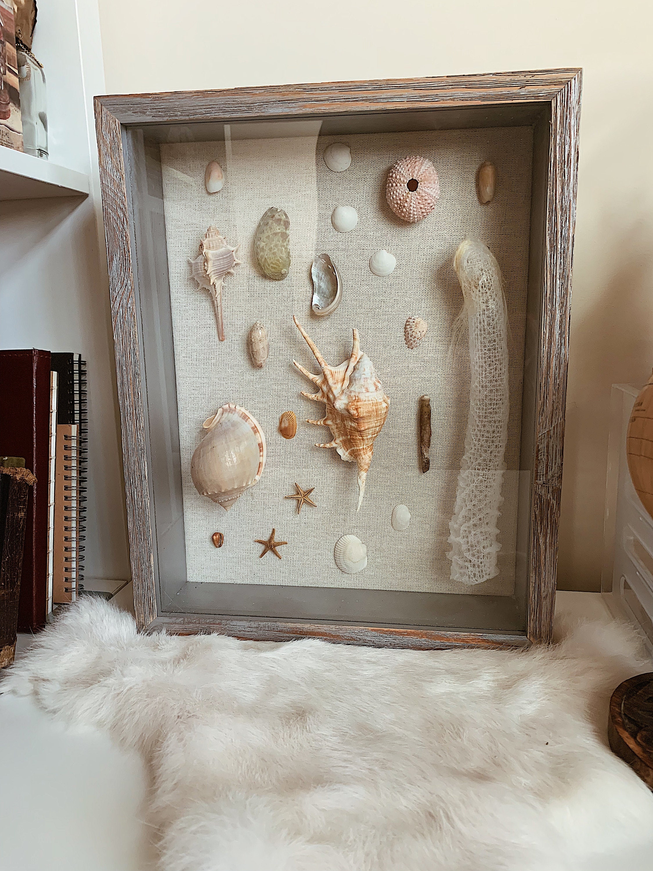 Seaside Wonder Nautical Shadow Box Seashell Display Sea - Etsy