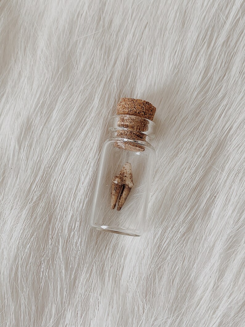 Tiny Teeth, Micro Specimen Vials, Small Specimen Collection, Animal ...