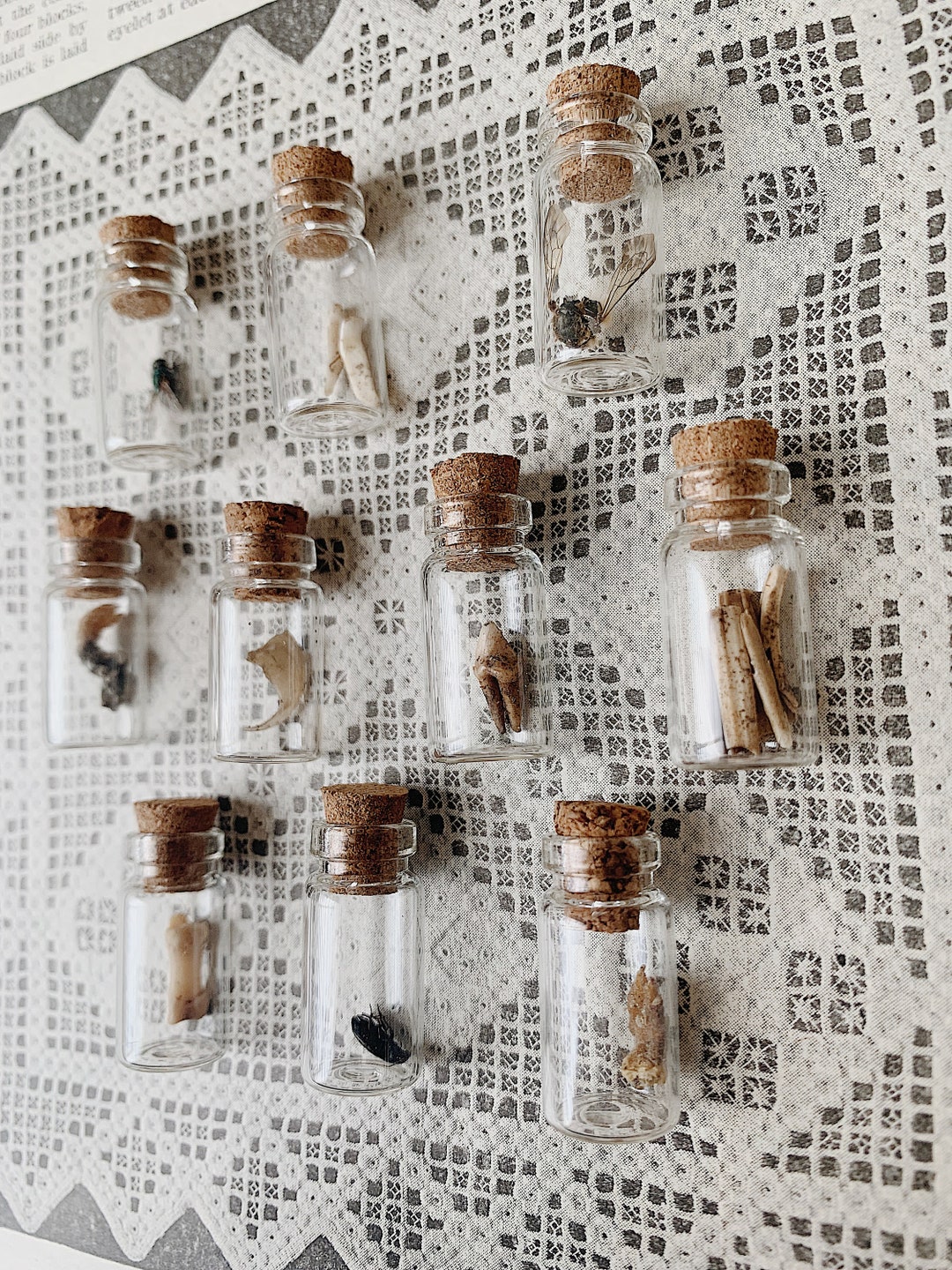 Tiny Specimens, Micro Specimen Vials, Small Specimen Collection, Animal ...