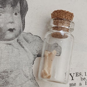 Tiny Specimens, Micro Specimen Vials, Small Specimen Collection, Animal ...