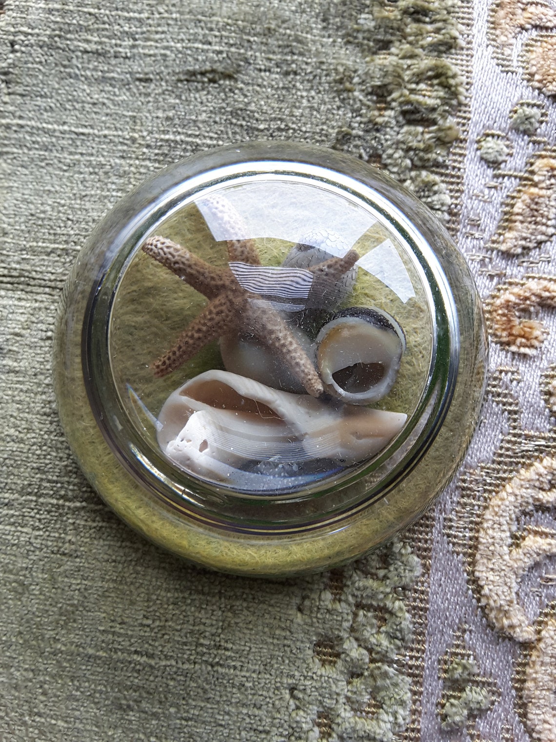 1950's Glass Paperweight Beautiful Starfish and Shells - Etsy