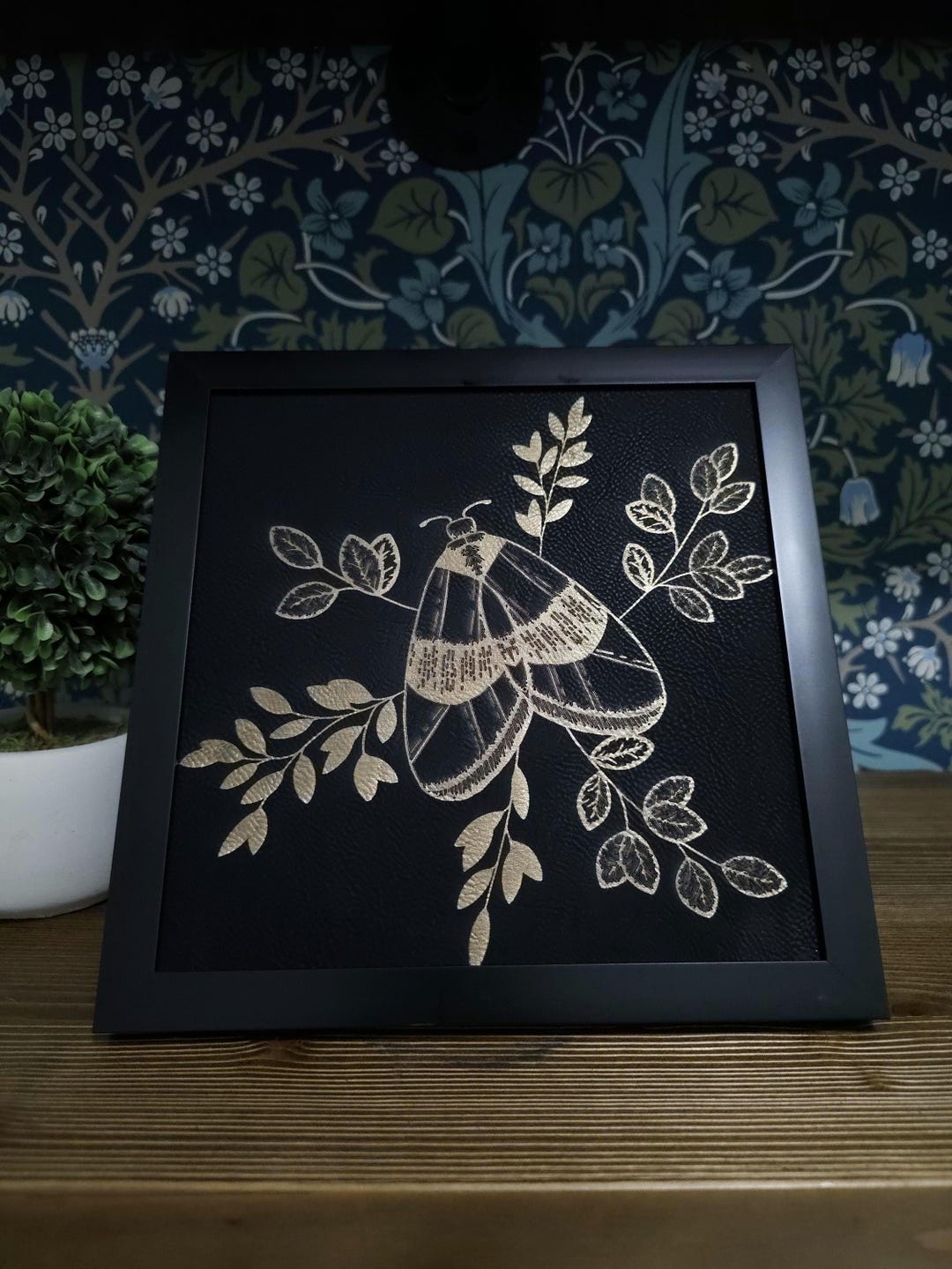 Witch Goblincore Moth Oddity Engraving on Black Leatherette, Witchy ...