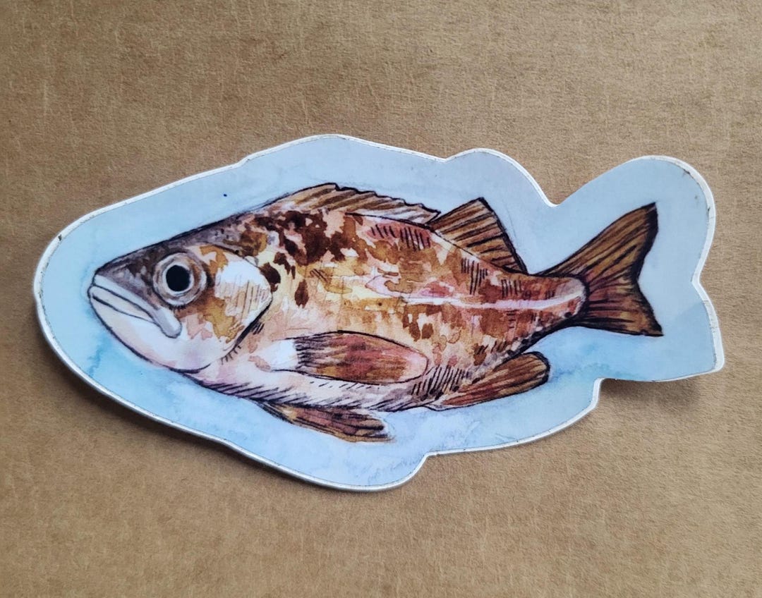 Rockfish Sticker - Etsy